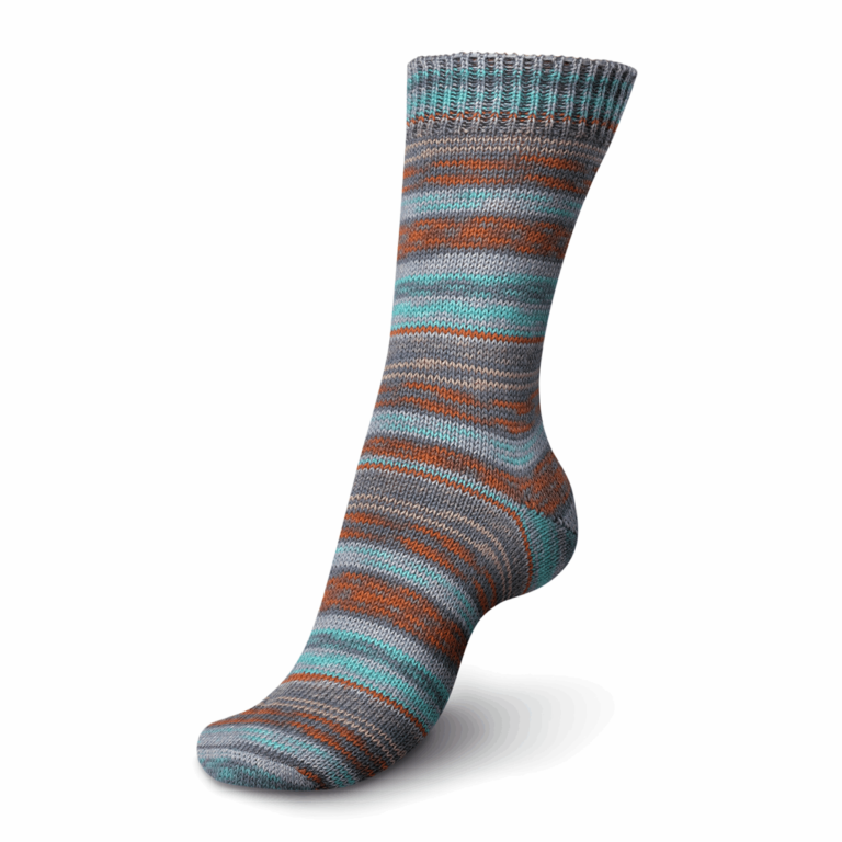Regia Festival 4 Ply - The Sock Yarn Shop